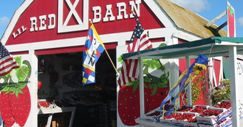 Lil' Red Barn Produce - Visit Oxnard