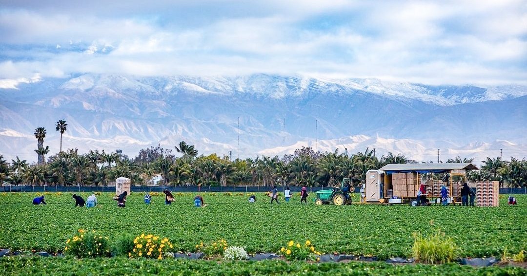 Farming History In Oxnard - Visit Oxnard